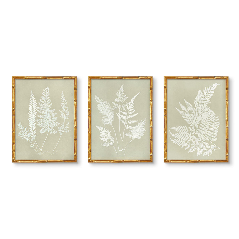 Hued Fern Trio | Modern Garden Art Set of 3 – Urban Garden Prints