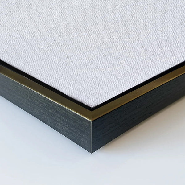 Canvas Floating Frame (Wrapped Canvas Only) – Urban Garden Prints