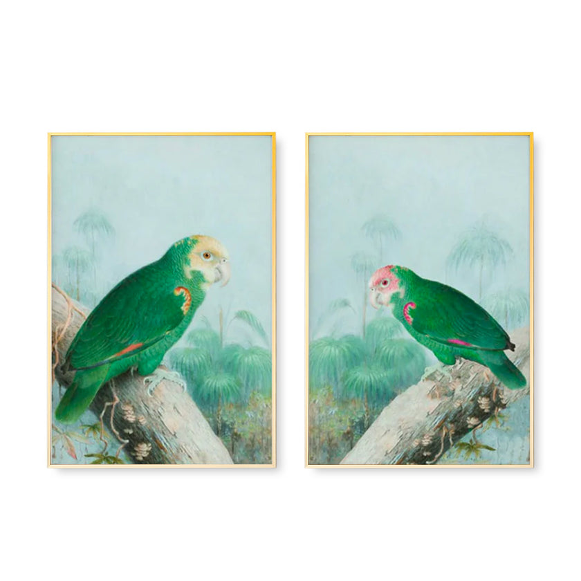 Vintage Tropical Parrot Art | Chinoiserie Art Prints | Wholesale ...