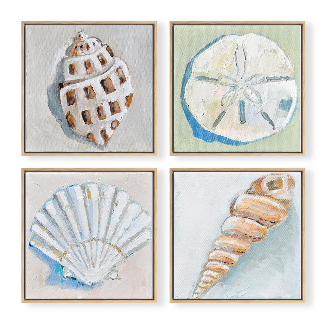 Shell Set of 4 by The Painted Katie Art Prints – Urban Garden Prints
