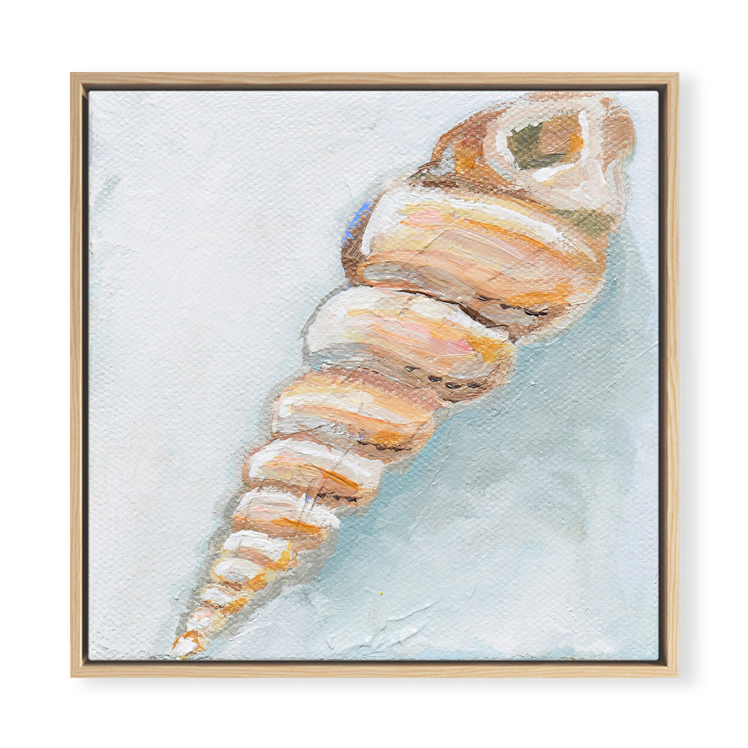 Spiral Shell by The Painted Katie Art Print – Urban Garden Prints