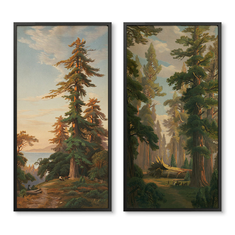 Redwood Trees Pair Art Print Panels | High End – Urban Garden Prints
