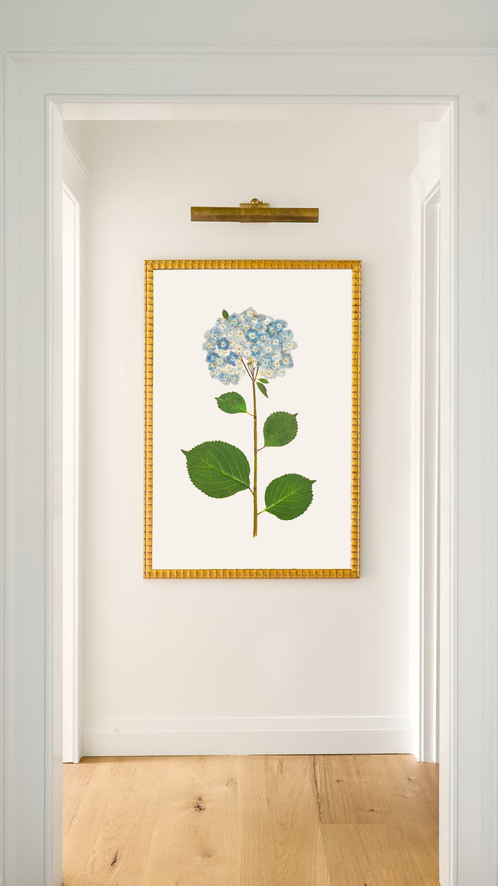 Natural Flower Hydrangea Art Prints | Hand Pressed | Original – Urban ...