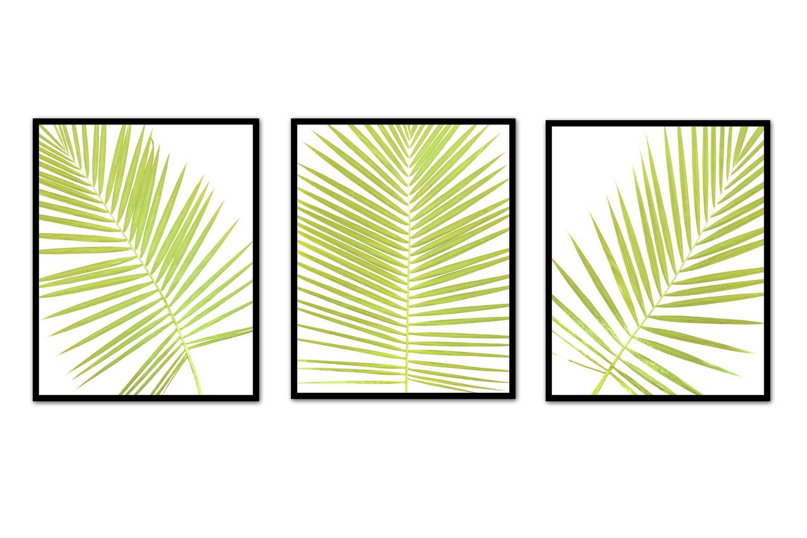 Palm Frond Print Trio | Palm Leaves Set of 3 | Coastal Botanical Art ...