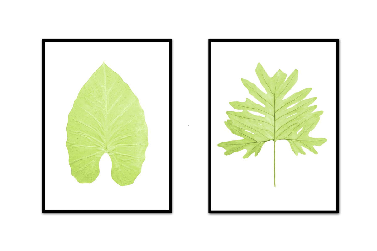 Large Leaf Print Pair | Multiple Colors Available | Modern Botanical ...