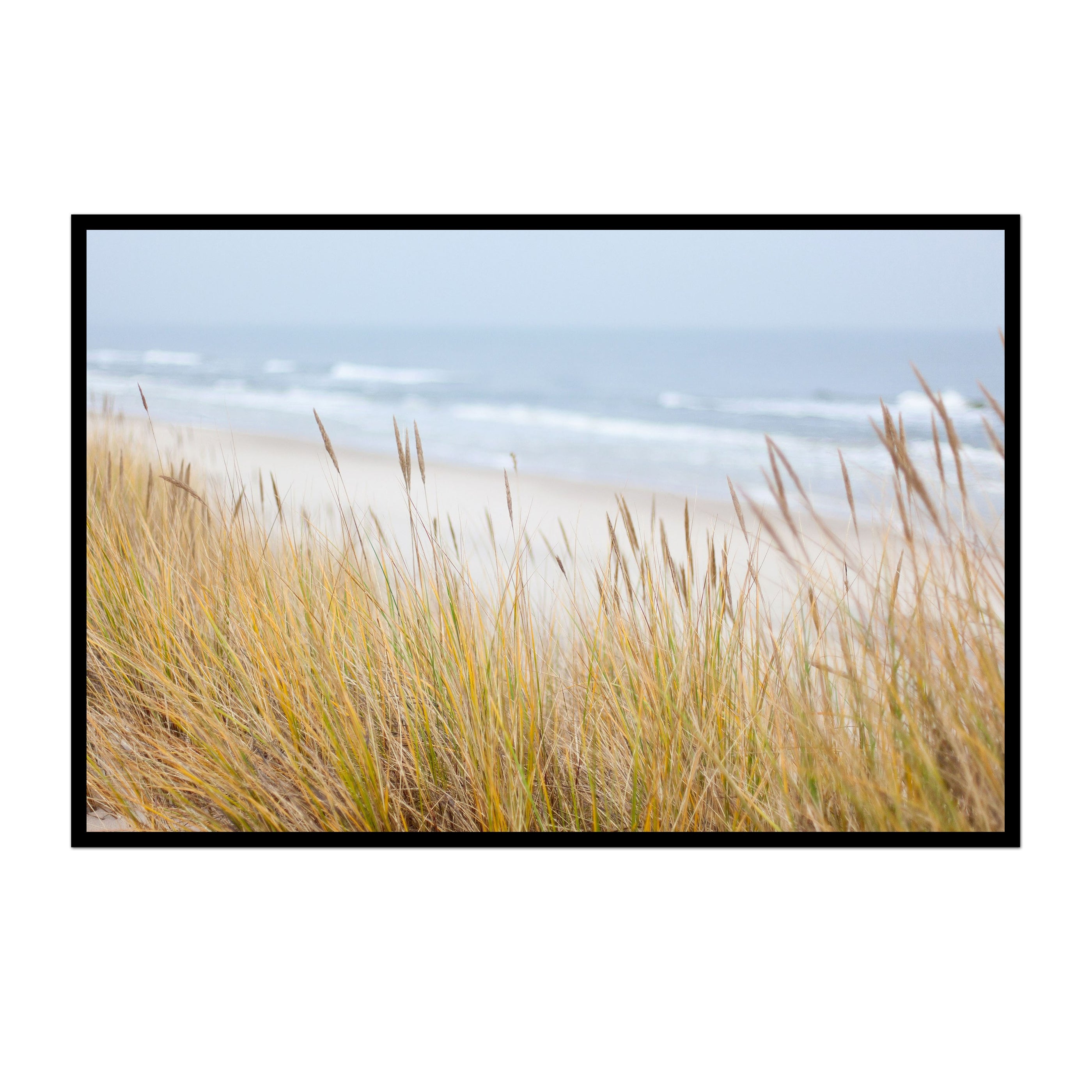 Seagrass Coastal Art Print | Seascape Wall Art | Beach House Decor ...