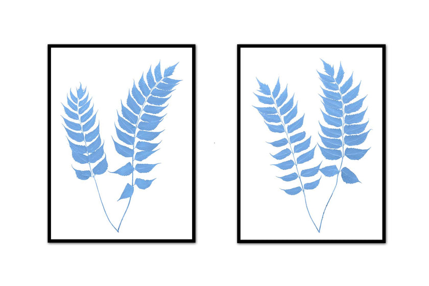 Holly Fern Print Pair | Custom Color Fern Art | Modern Botanical Wall ...