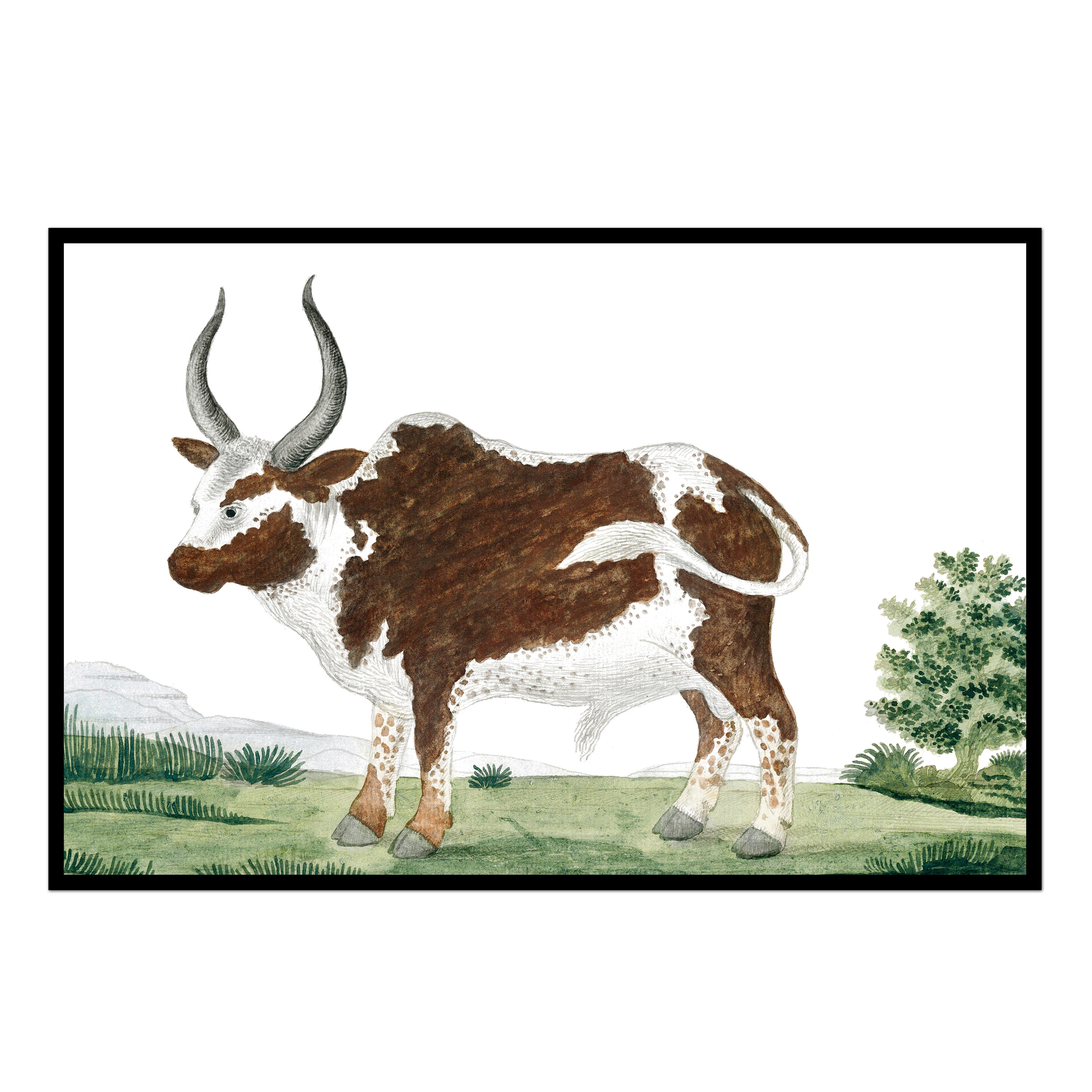 Vintage Ox Art Print – Urban Garden Prints