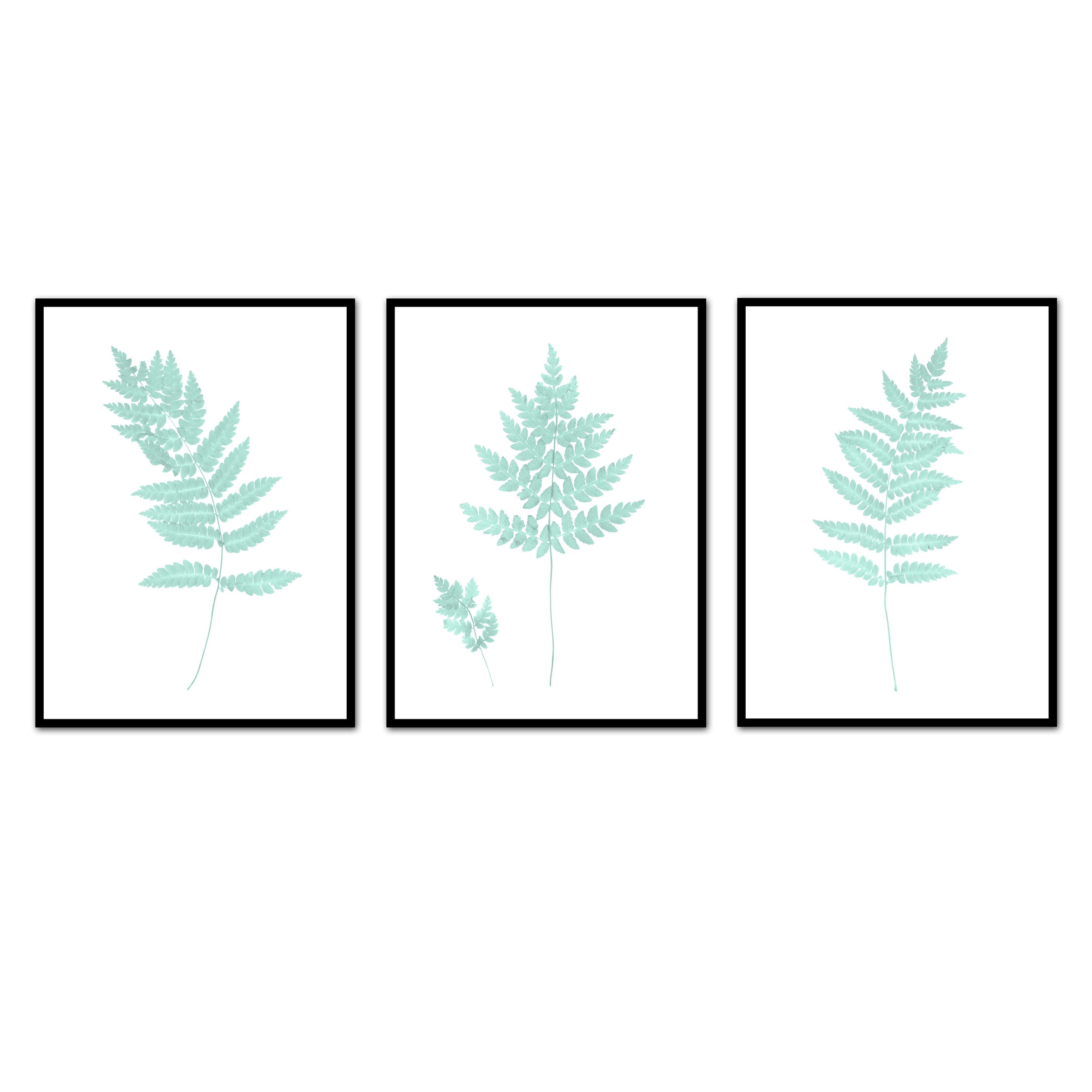 Fern Trio | Botanical Set of 3 | Multiple Color Options | High End ...