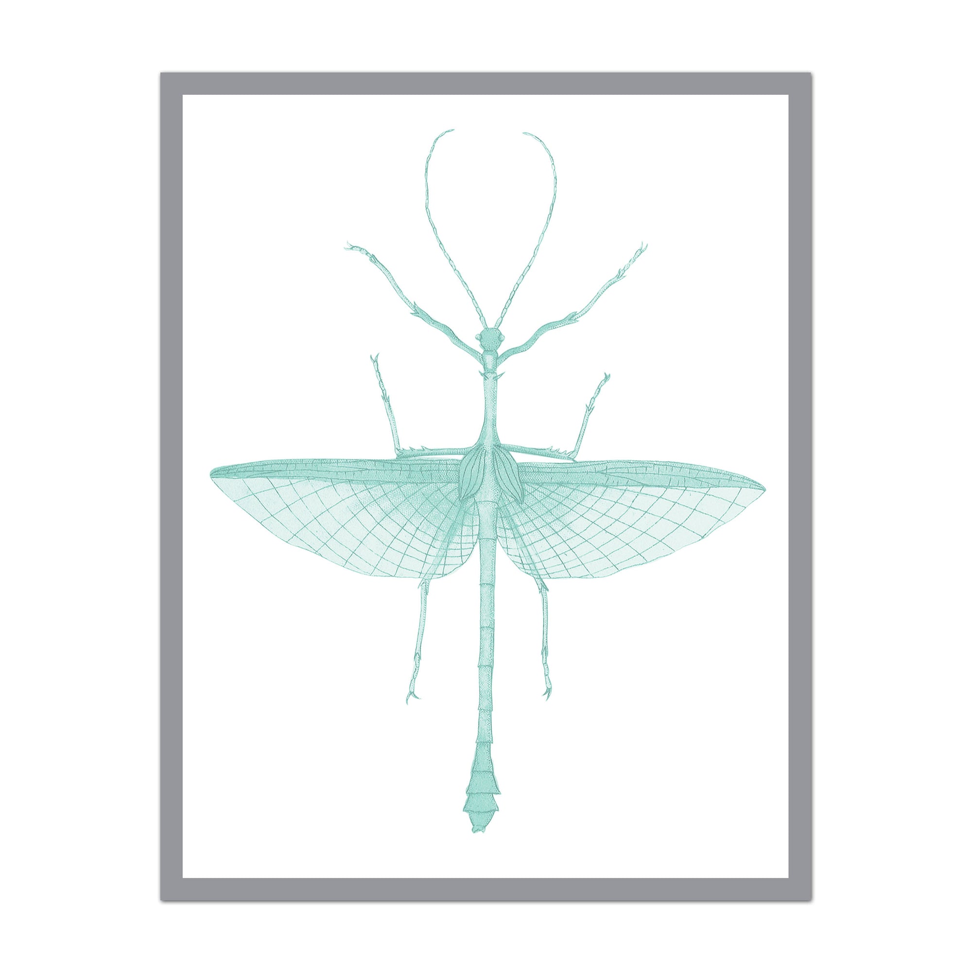 Walking Insect | Vintage Bug Art | Custom Giclee Art Prints – Urban ...