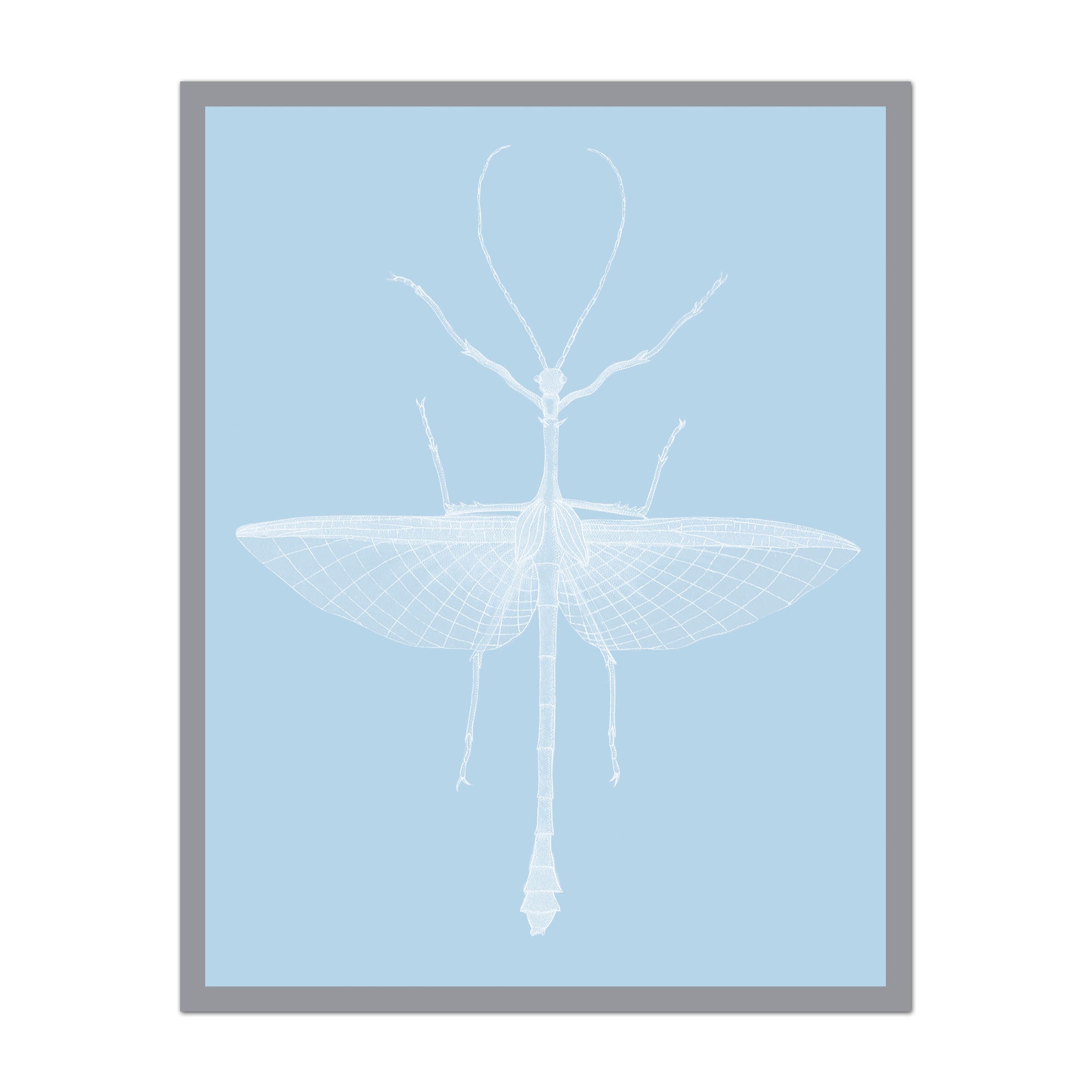 Walking Insect | Vintage Bug Art | Custom Giclee Art Prints – Urban ...