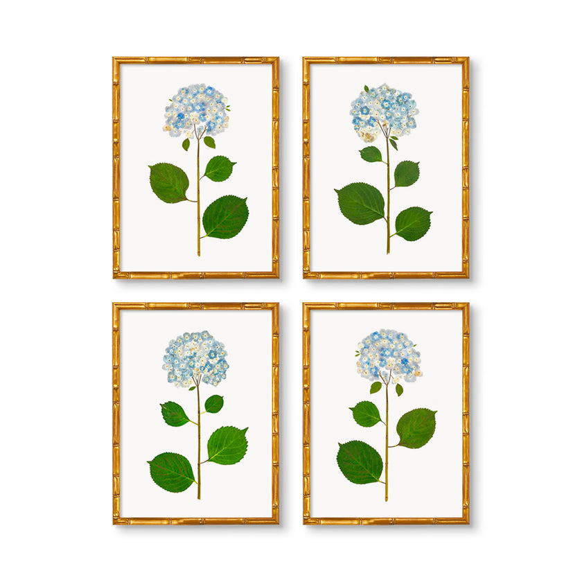 Natural Flower Hydrangea Art Prints | Hand Pressed | Original – Urban ...