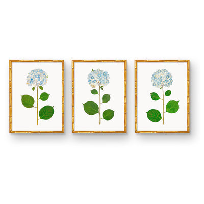 Natural Flower Hydrangea Art Prints | Hand Pressed | Original – Urban ...
