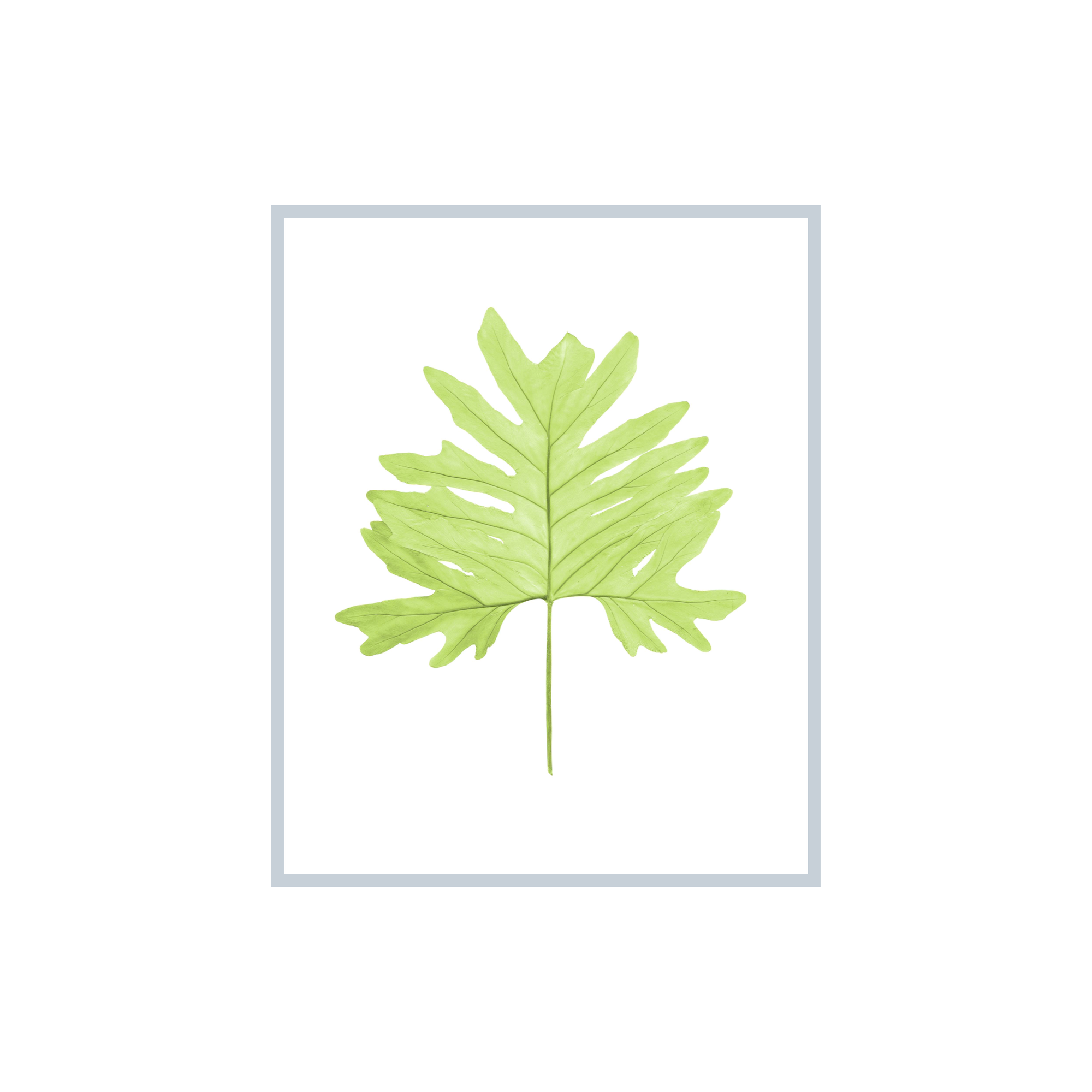 Large Leaf Single | Original Modern Plant Art | Custom Giclee ...