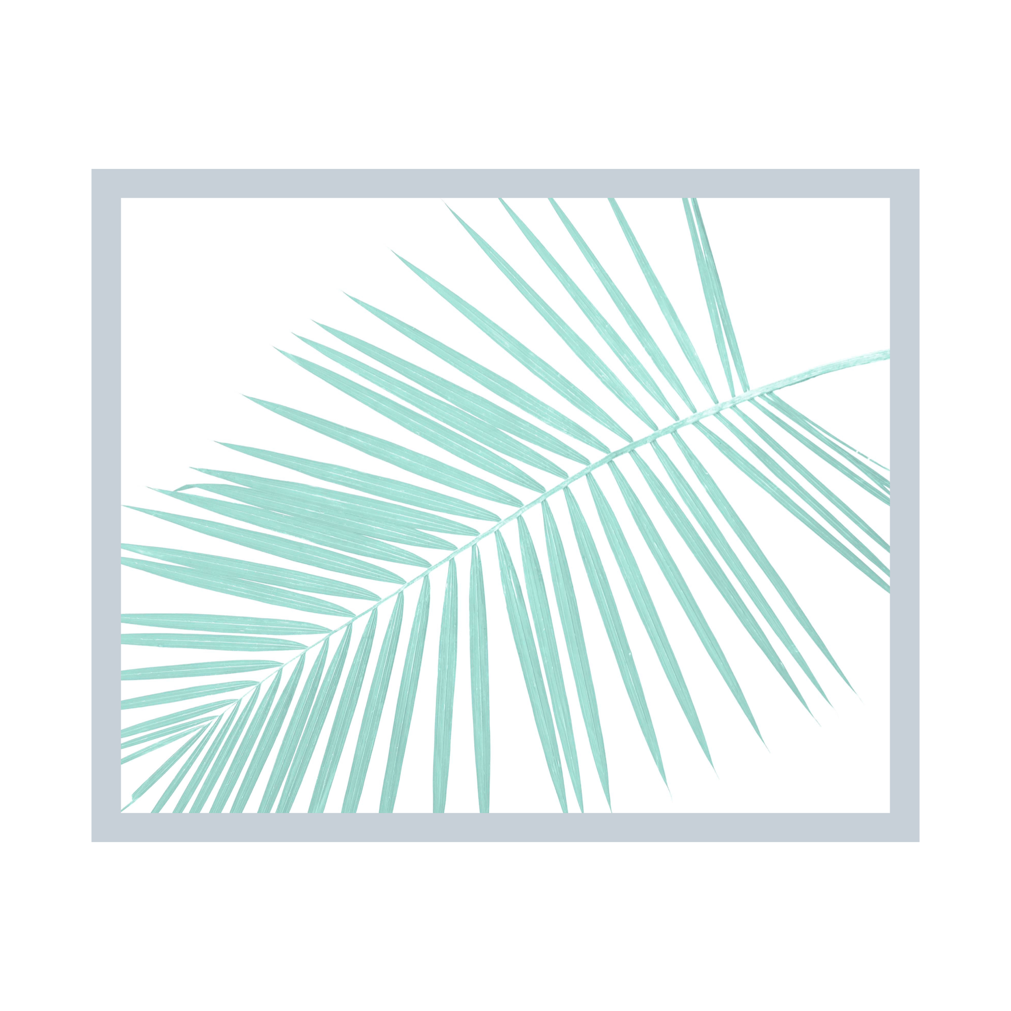 Palm Frond Art Print | Custom Colors | Multiple Sizes | Wholesale ...